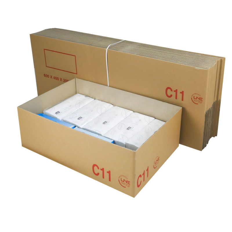 Cajas de cartón GALIA C11 60x40x20 cm