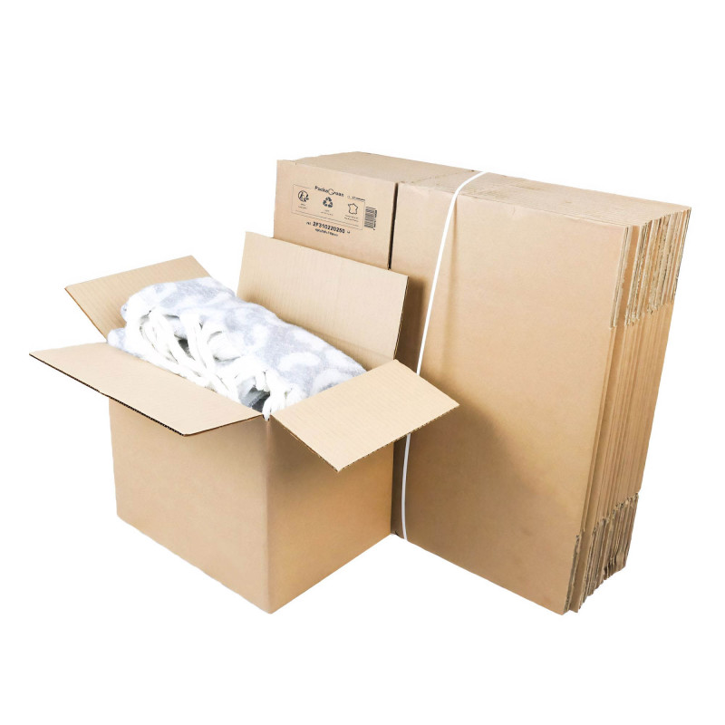 Cartones estándares 31x22x25 cm